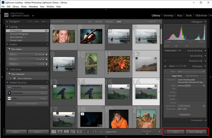 Lightroom Denoise AI: How to Reduce Noise and Enhance RAW Photos