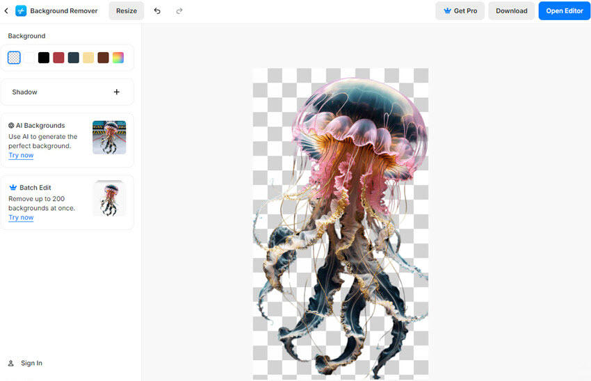 Best Pixelcut Alternatives for All Platforms in 2024