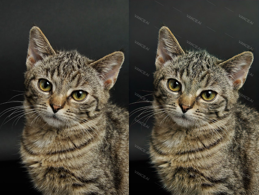 How to Convert Images to High Resolution 4K/8K/16K/32K?