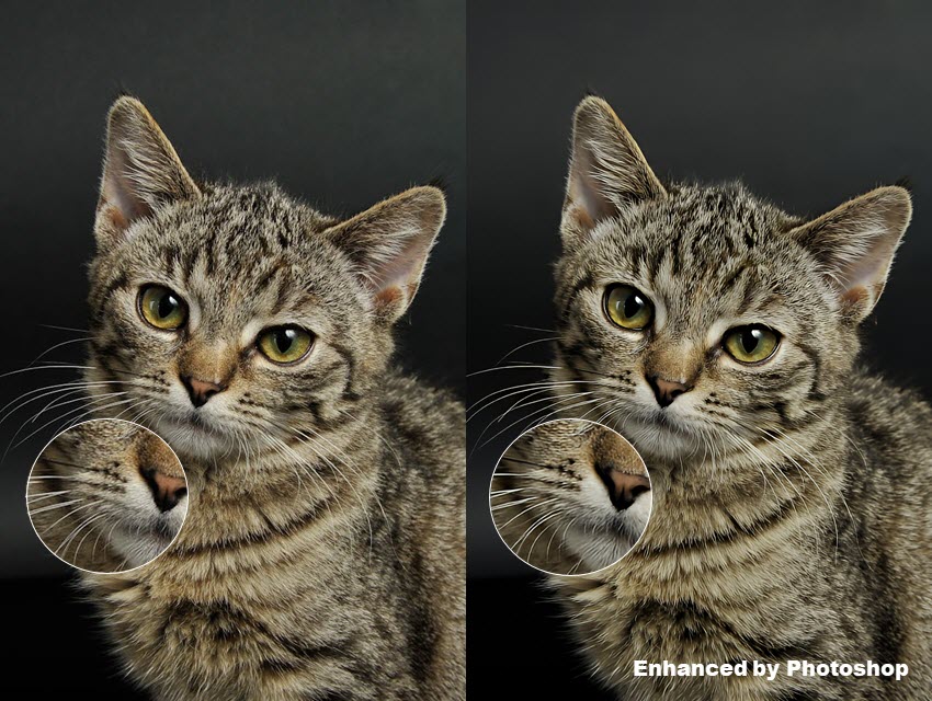 How to Convert Images to High Resolution 4K/8K/16K/32K?