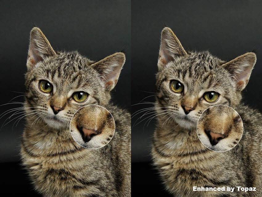 How to Convert Images to High Resolution 4K/8K/16K/32K?