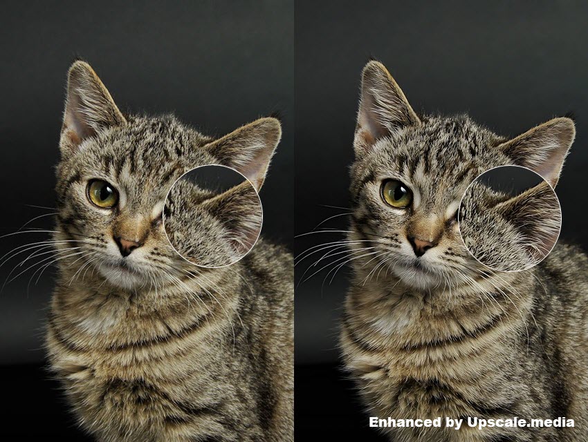 How to Convert Images to High Resolution 4K/8K/16K/32K?