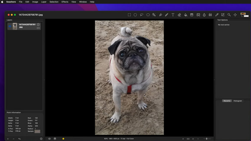 Best 6 Free Photoshop Alternatives for Mac in 2026